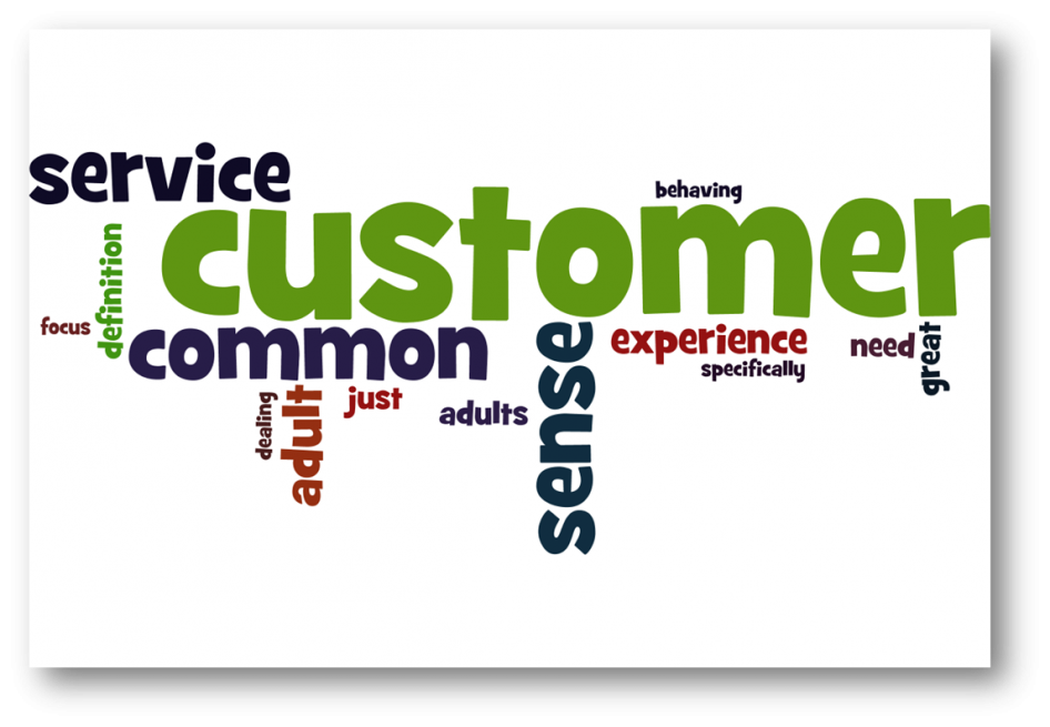About Adults Behaving Badly and Common Sense | Customer Service ...